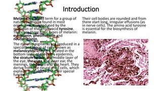Melanin | PPTX