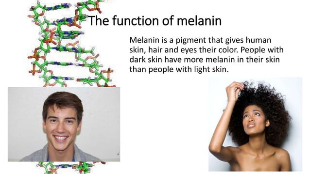 Melanin | PPTX | Skin and Dermatology | Diseases and Conditions
