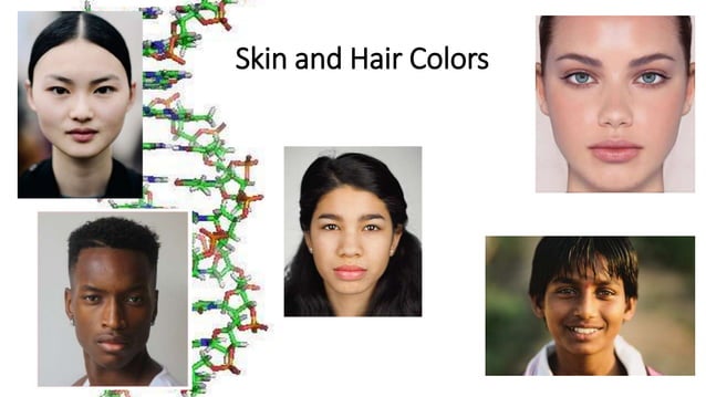 Melanin | PPTX | Skin and Dermatology | Diseases and Conditions