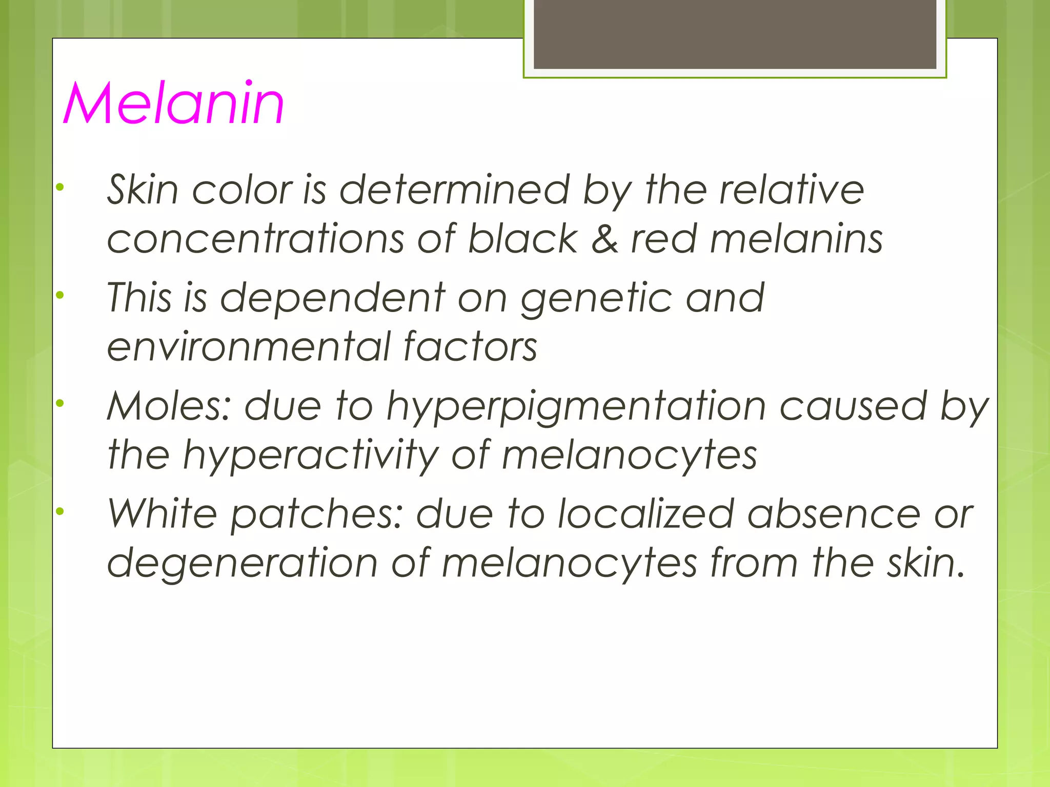 Melanin synthesis | PPT