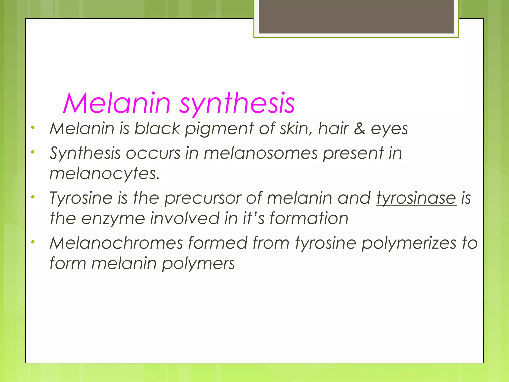 Melanin synthesis | PPT