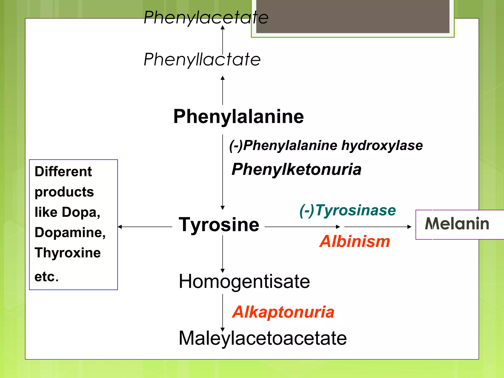Melanin synthesis | PPT