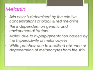 Melanin synthesis | PPT
