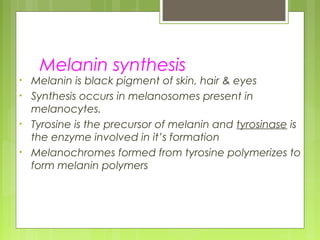 Tyrosine To Melanin Pathway