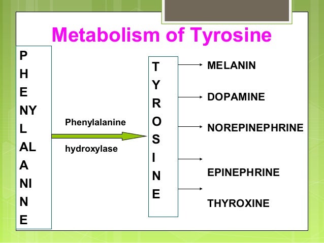 Melanin Synthesis