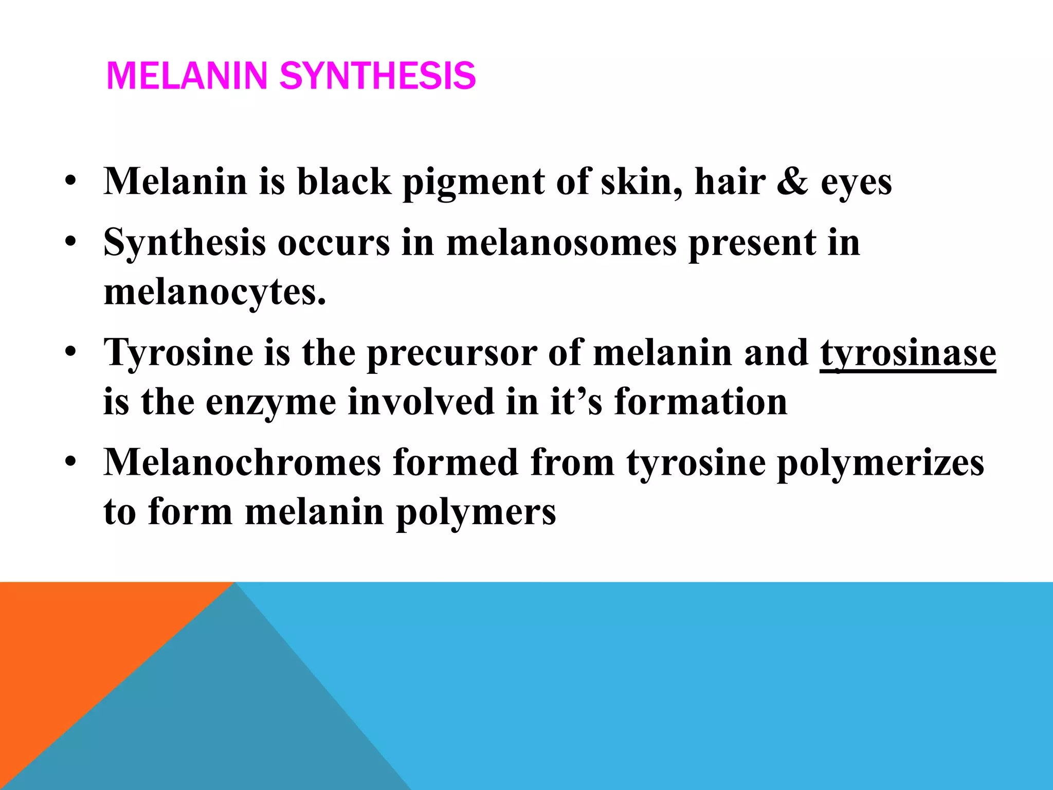 Melanin--Synthesis-Rajendra | PPT