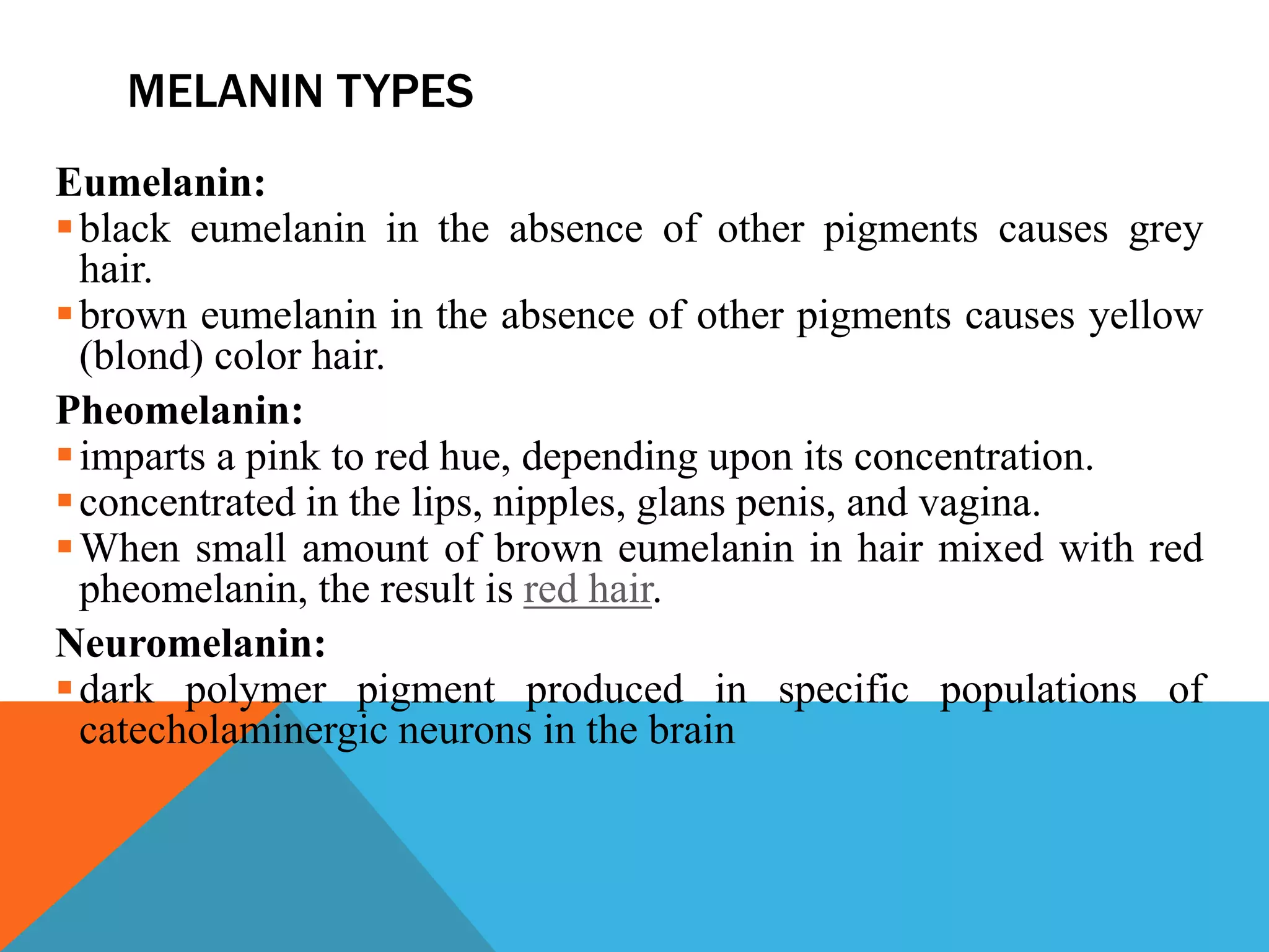 Melanin--Synthesis-Rajendra | PPT