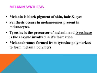 Melanin--Synthesis-Rajendra | PPT