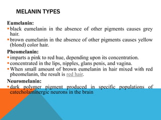 Melanin--Synthesis-Rajendra | PPT