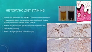 basic sign for Melanocyte Biology in dermatology.pptx