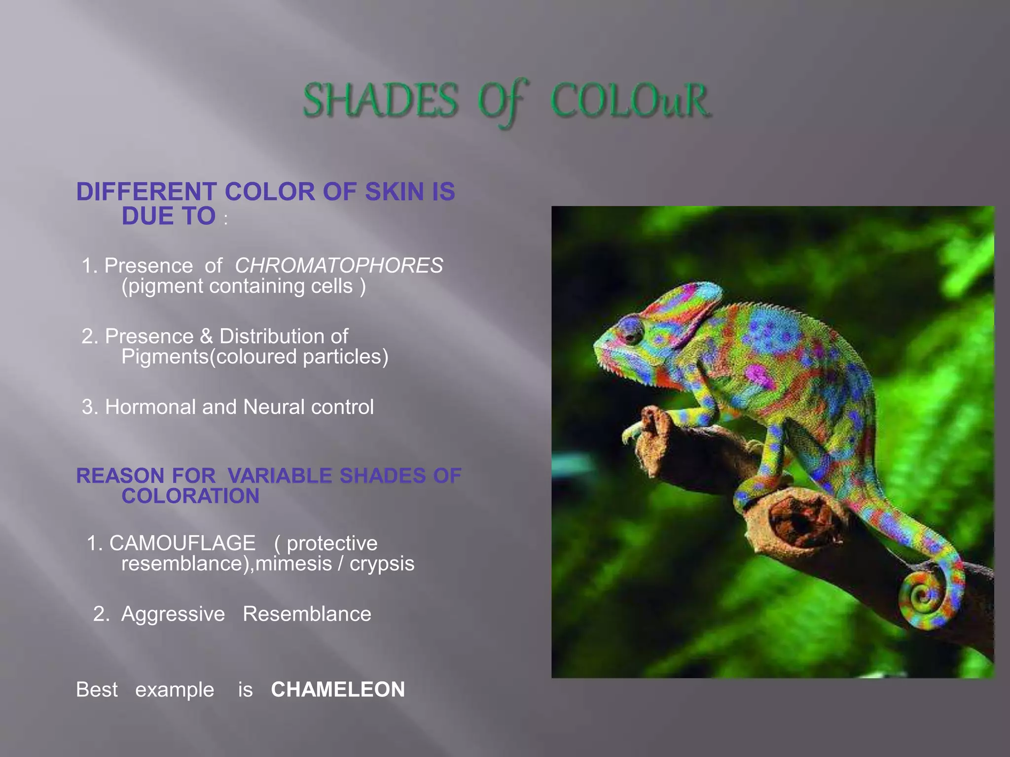 Melanogenesis.doc 2 | PPTX