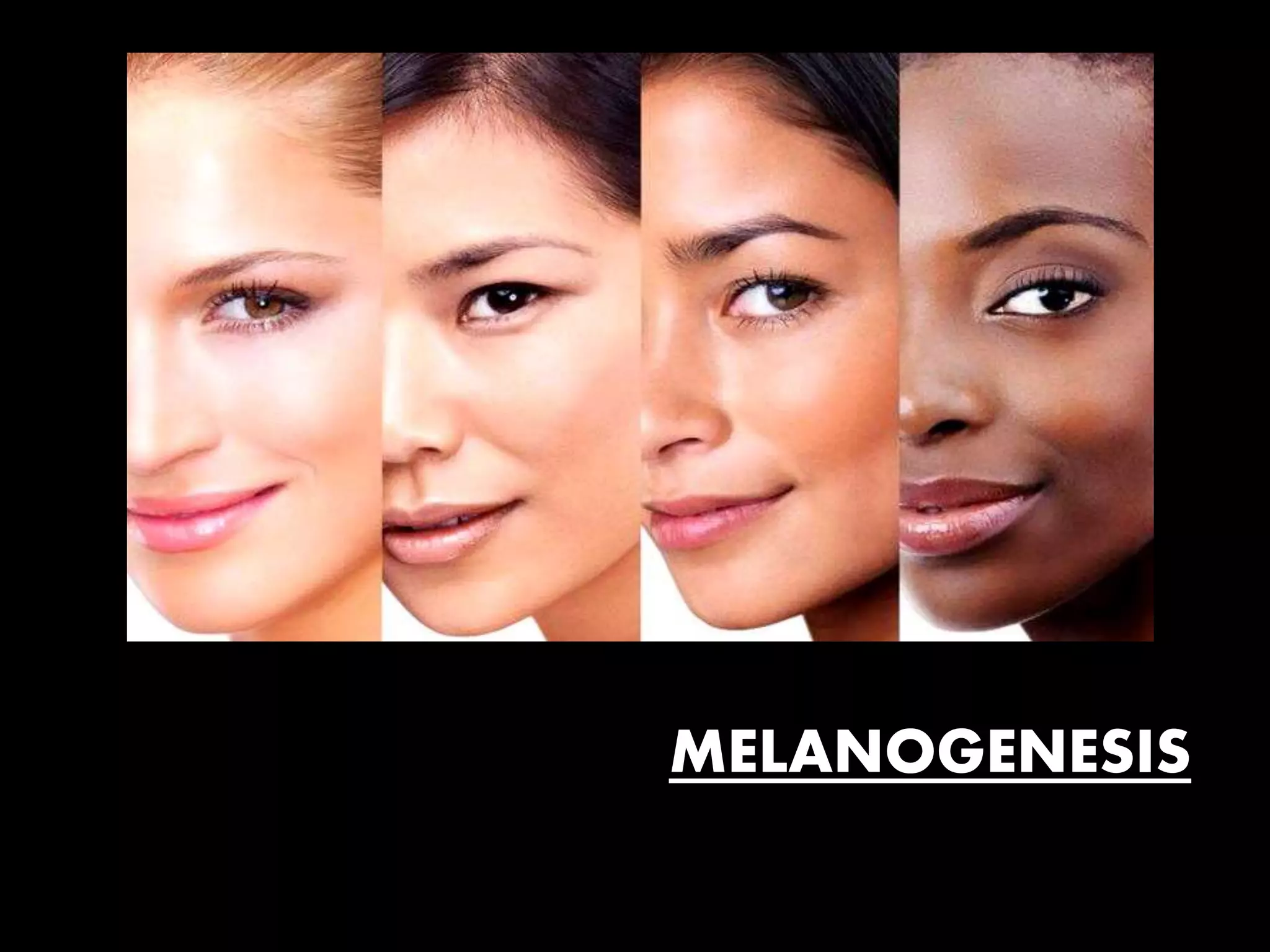 Melanogenesis | PPTX
