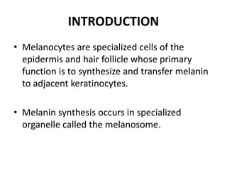 MELANOGENESIS AND PHOTOBIOLOGY.pptx