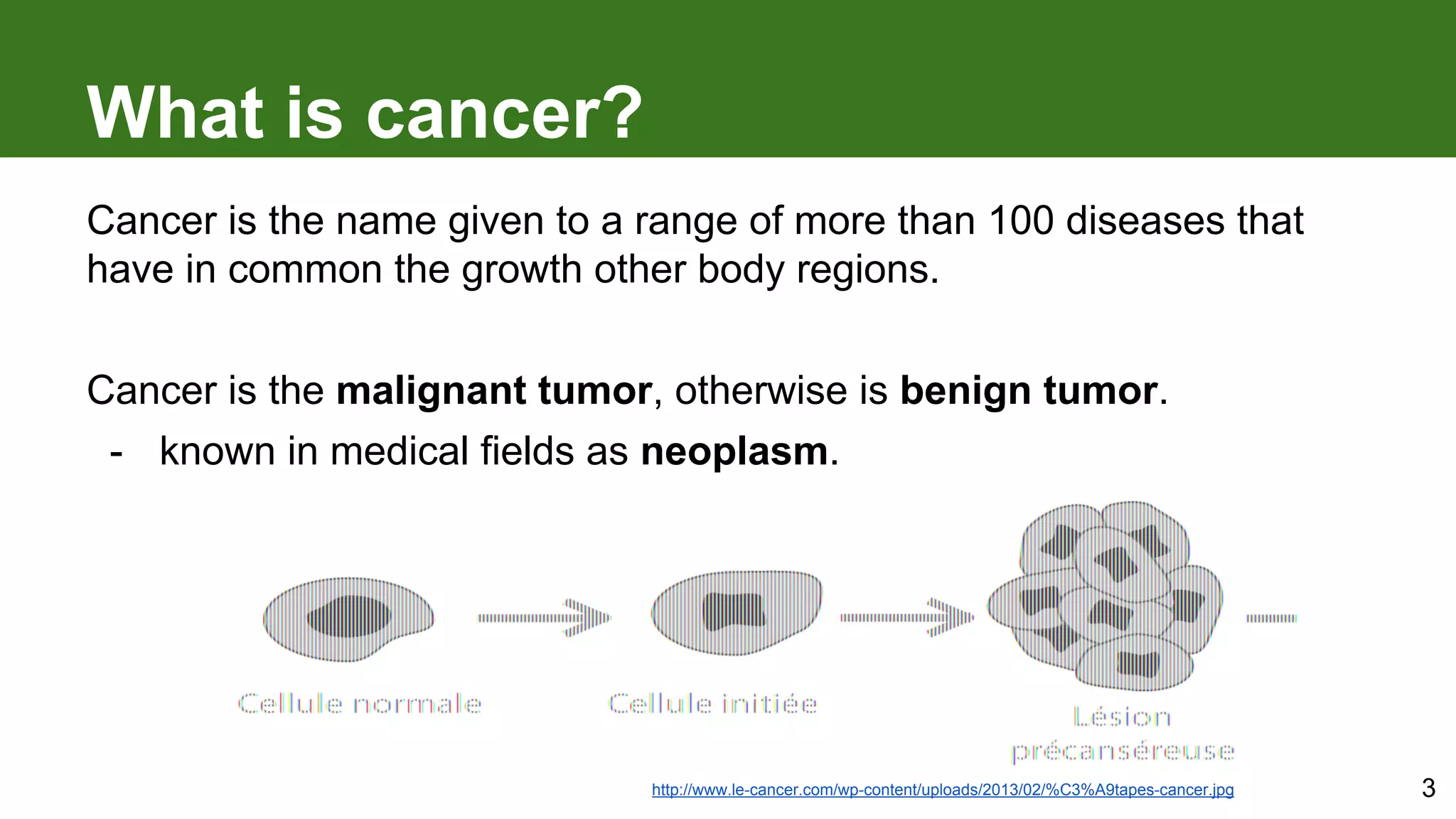 Melanoma: how to detect skin cancer | PDF