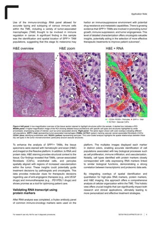 Melanoma App Note v6 using next generation system.pdf
