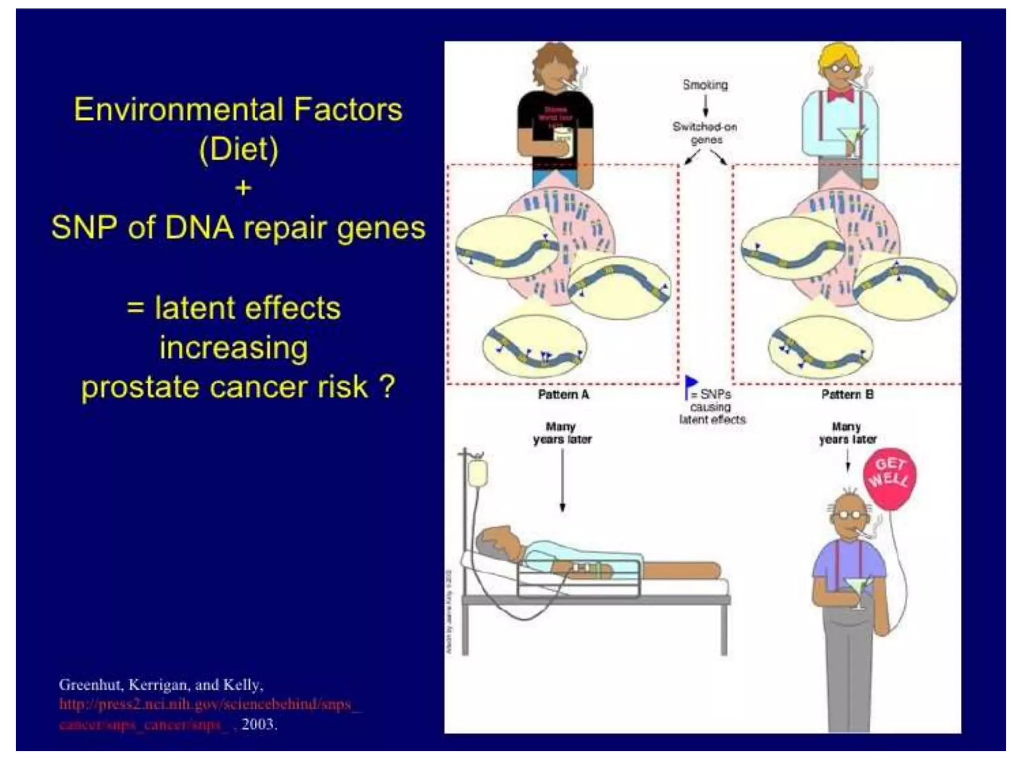 Melanoma kdd 2019 | PPT
