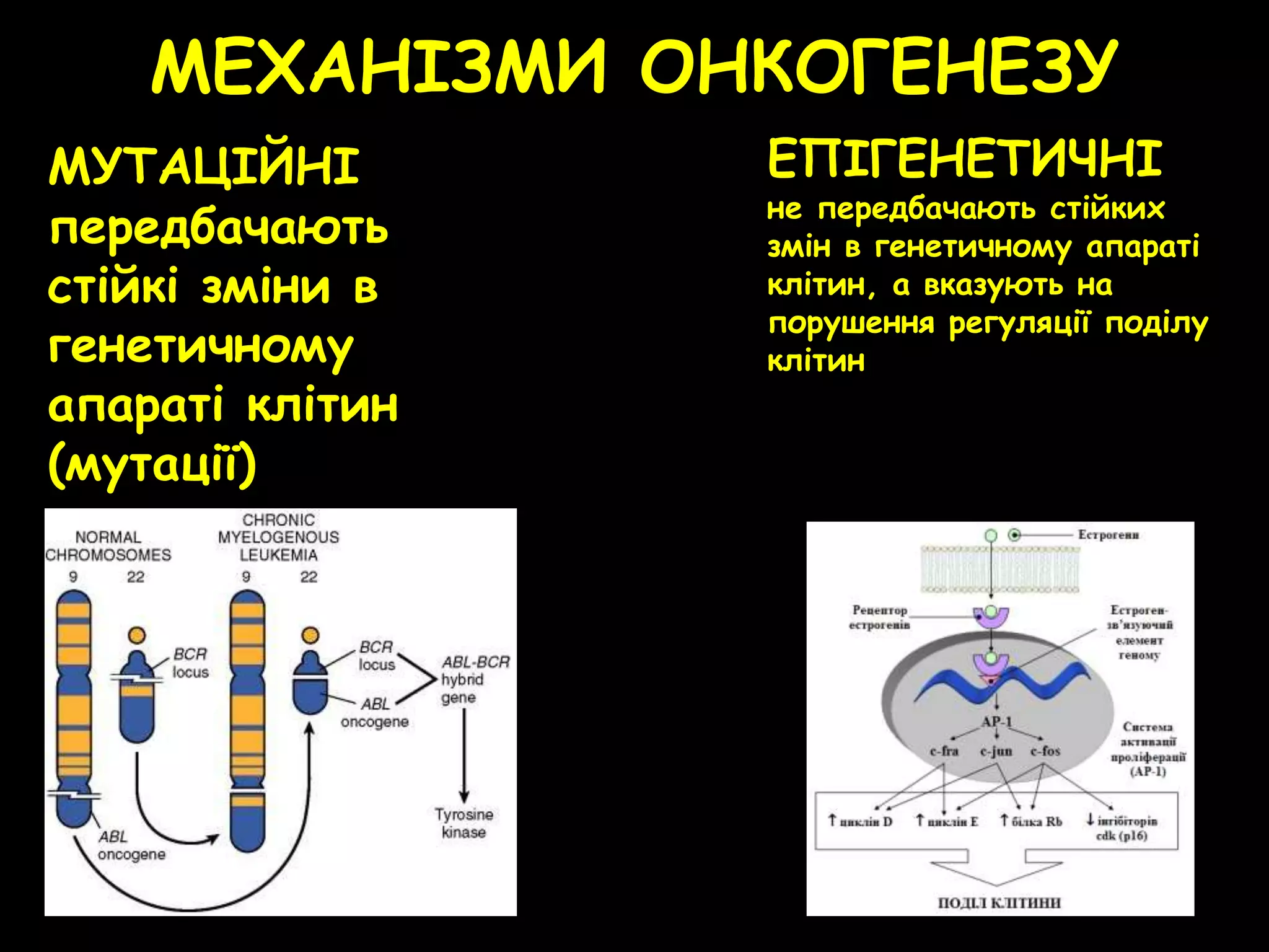 Melanoma kdd 2019 | PPT