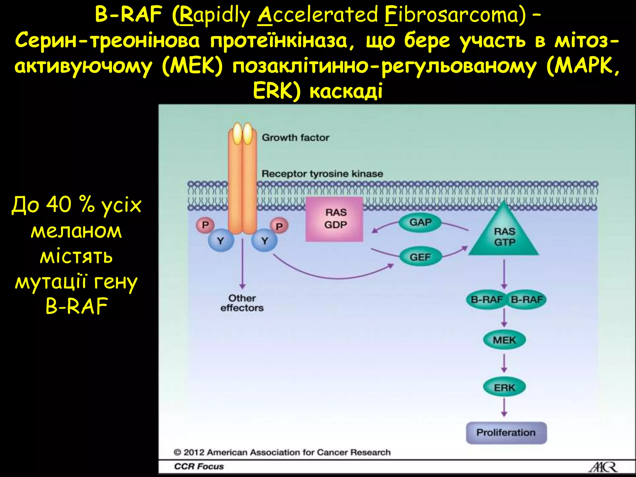 Melanoma kdd 2019 | PPT