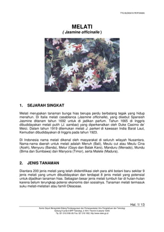 Melati | PDF