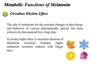 melatonin.pdfjfjkhdgjkzdhgkjdzghdzkjgdhgdg | PPT