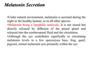 melatonin.pdfjfjkhdgjkzdhgkjdzghdzkjgdhgdg | PDF