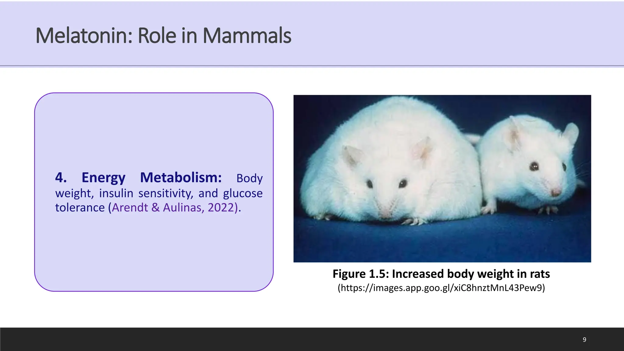 title: up and down regulation of melatonin, decription: these slides ...