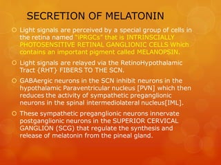 MELATONIN PRESENTATION ASSIGNMENT1.pdf