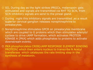 MELATONIN PRESENTATION ASSIGNMENT1.pdf