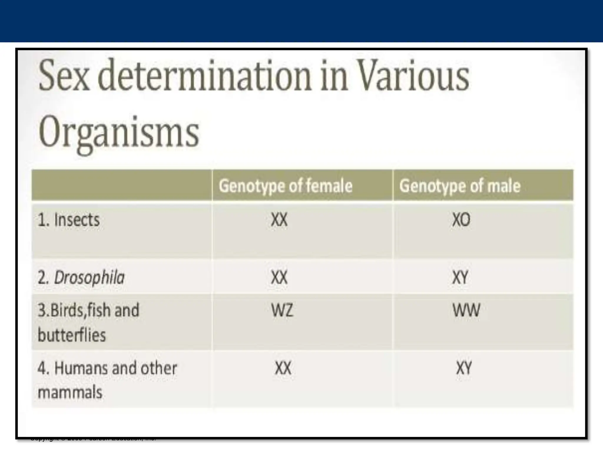 Melc 3 Sex Determination Sex Chromosomes Ppt Explain The Different
