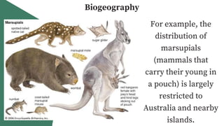 Evidences of Evolution General Biology 2 | PPTX