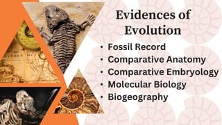Evidences of Evolution General Biology 2 | PPTX