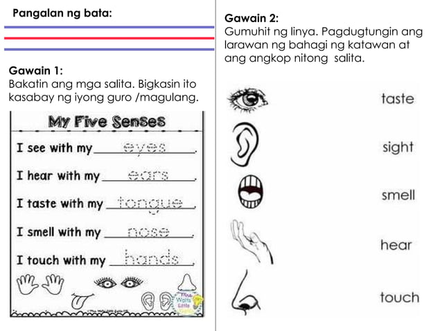 MELC WEEK 8-NAMES THE 5 SENSES AND THEIR CORRESPONDING BODY PARTS bb.pptx