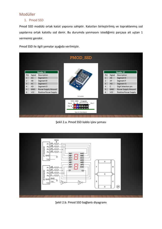 Zybo with Pmod Modules | PDF