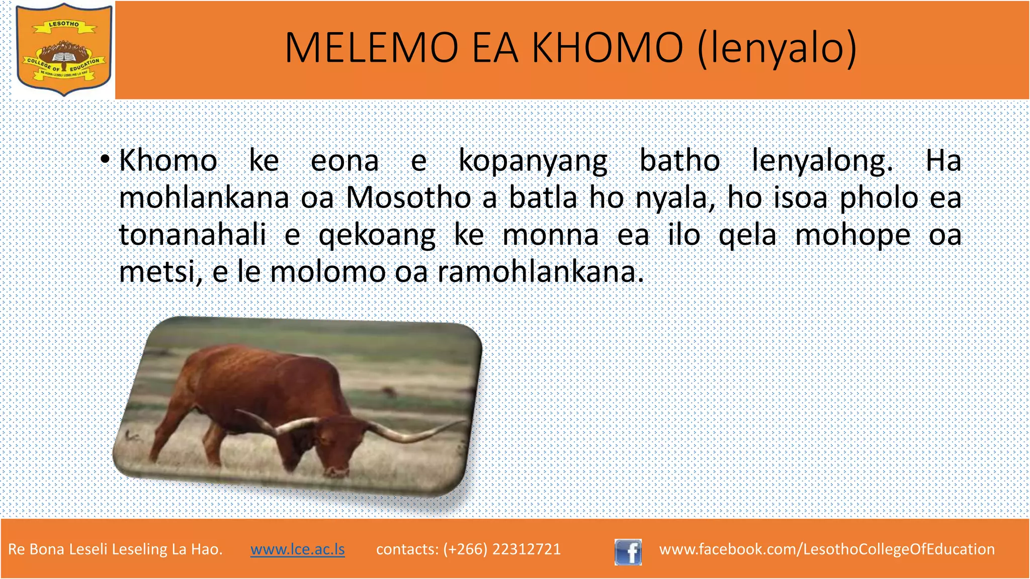 Melemo ea khomo | PPTX