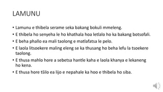 Melemo ea litholoana.pptx