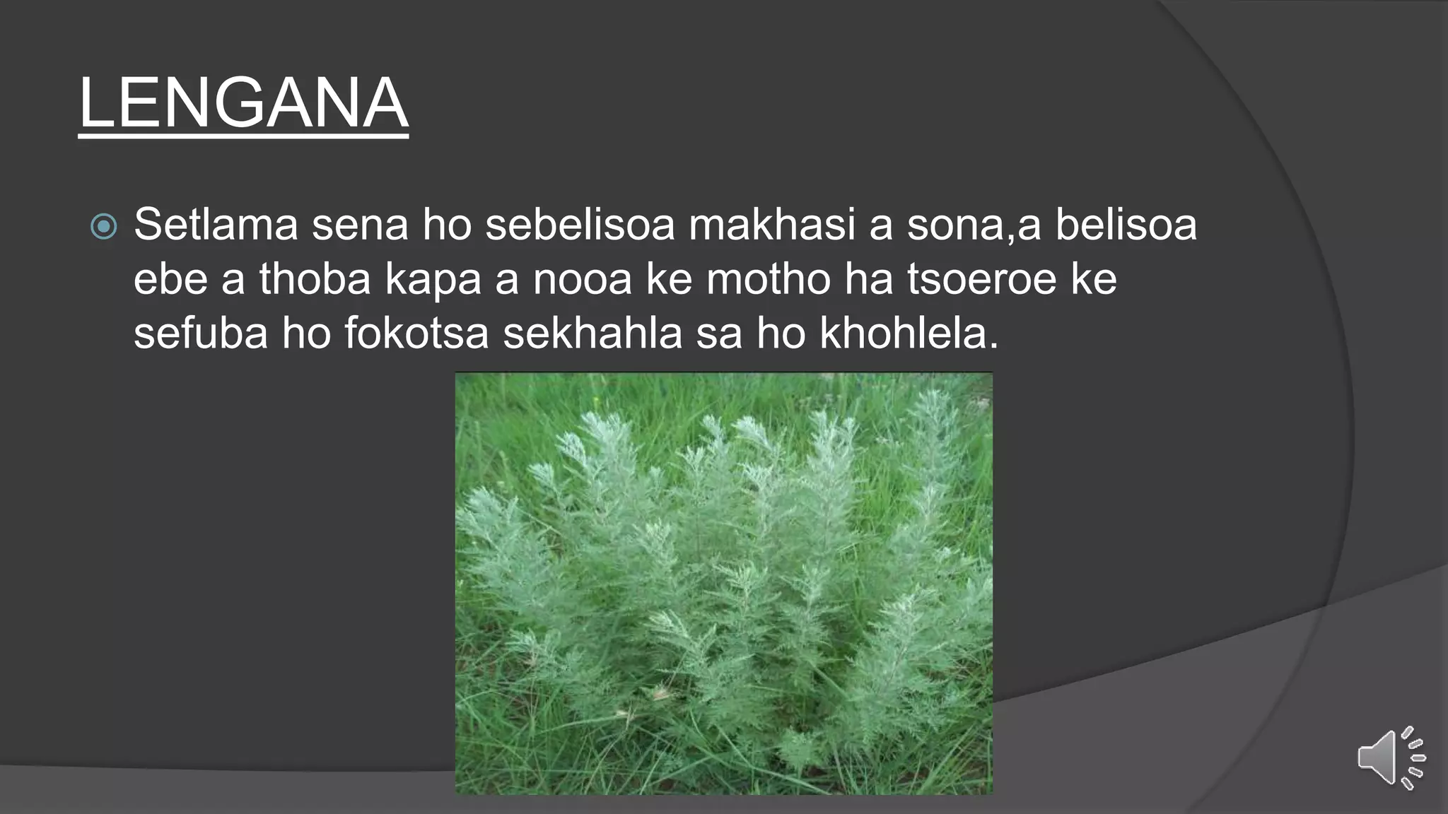 MELEMO EA LITLHARE TSA SESOTHO.pptx