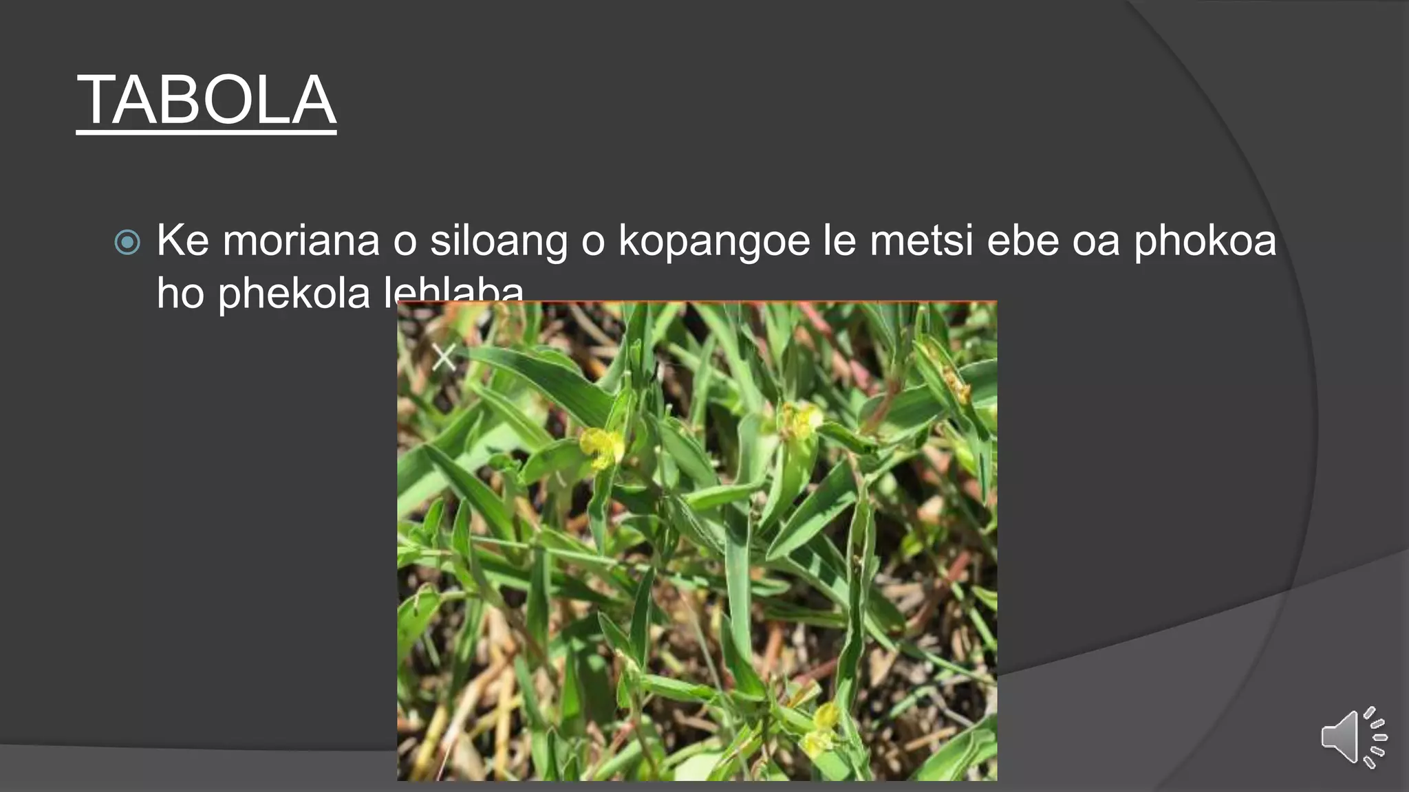 MELEMO EA LITLHARE TSA SESOTHO.pptx