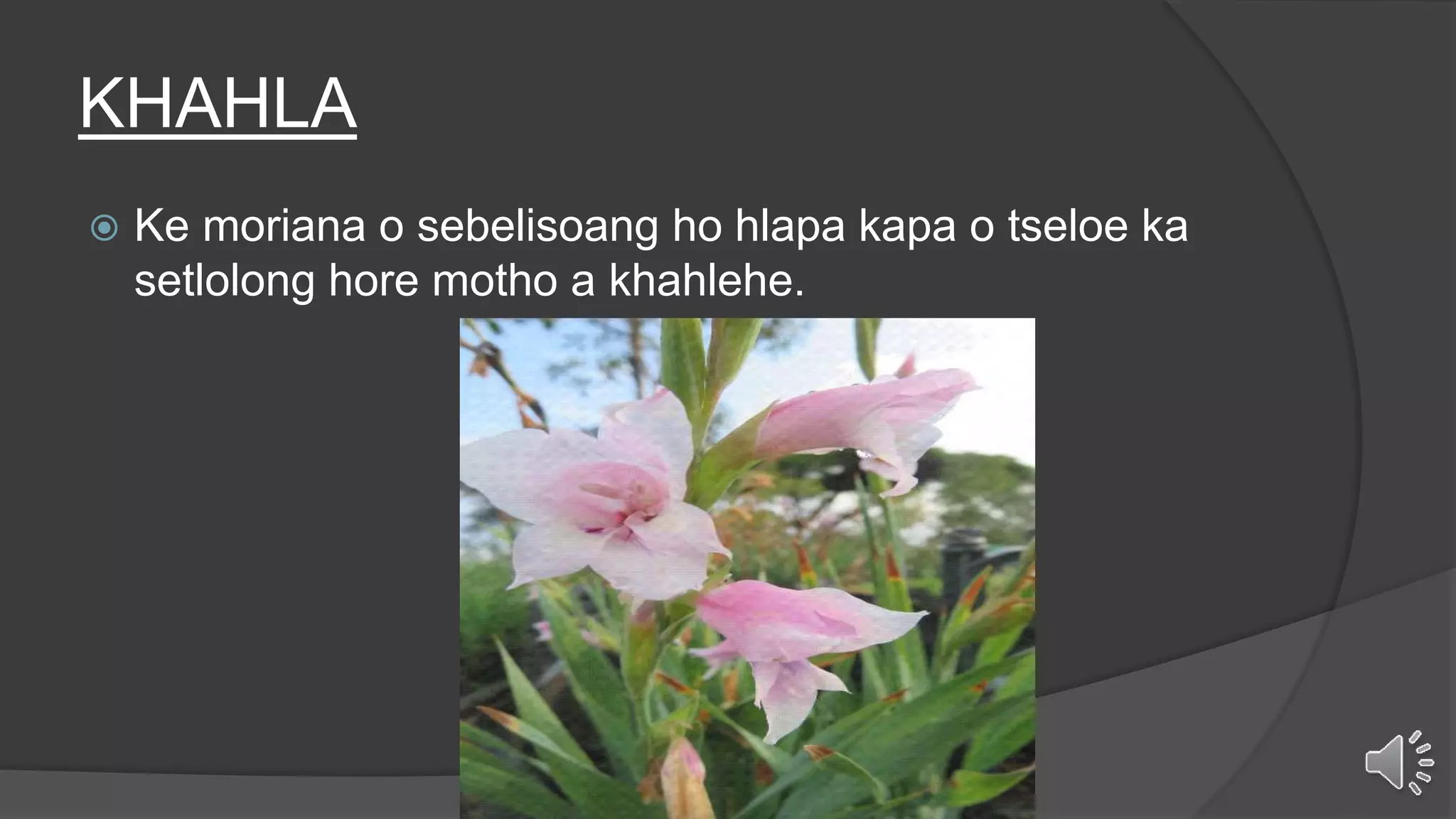 MELEMO EA LITLHARE TSA SESOTHO.pptx