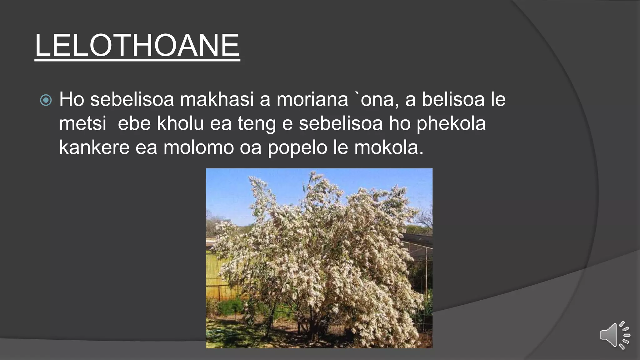 MELEMO EA LITLHARE TSA SESOTHO.pptx