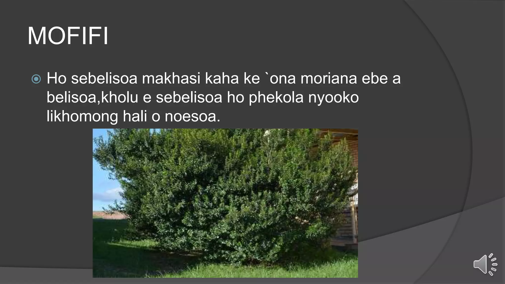 MELEMO EA LITLHARE TSA SESOTHO.pptx
