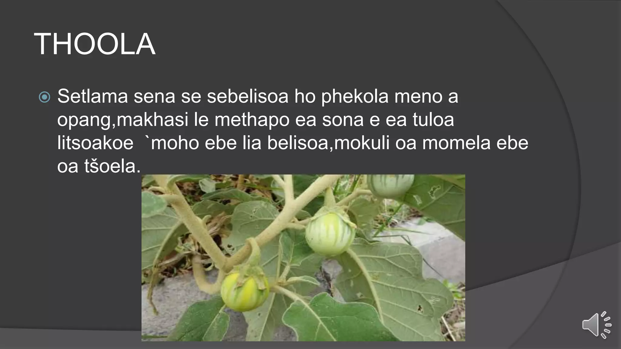 MELEMO EA LITLHARE TSA SESOTHO.pptx