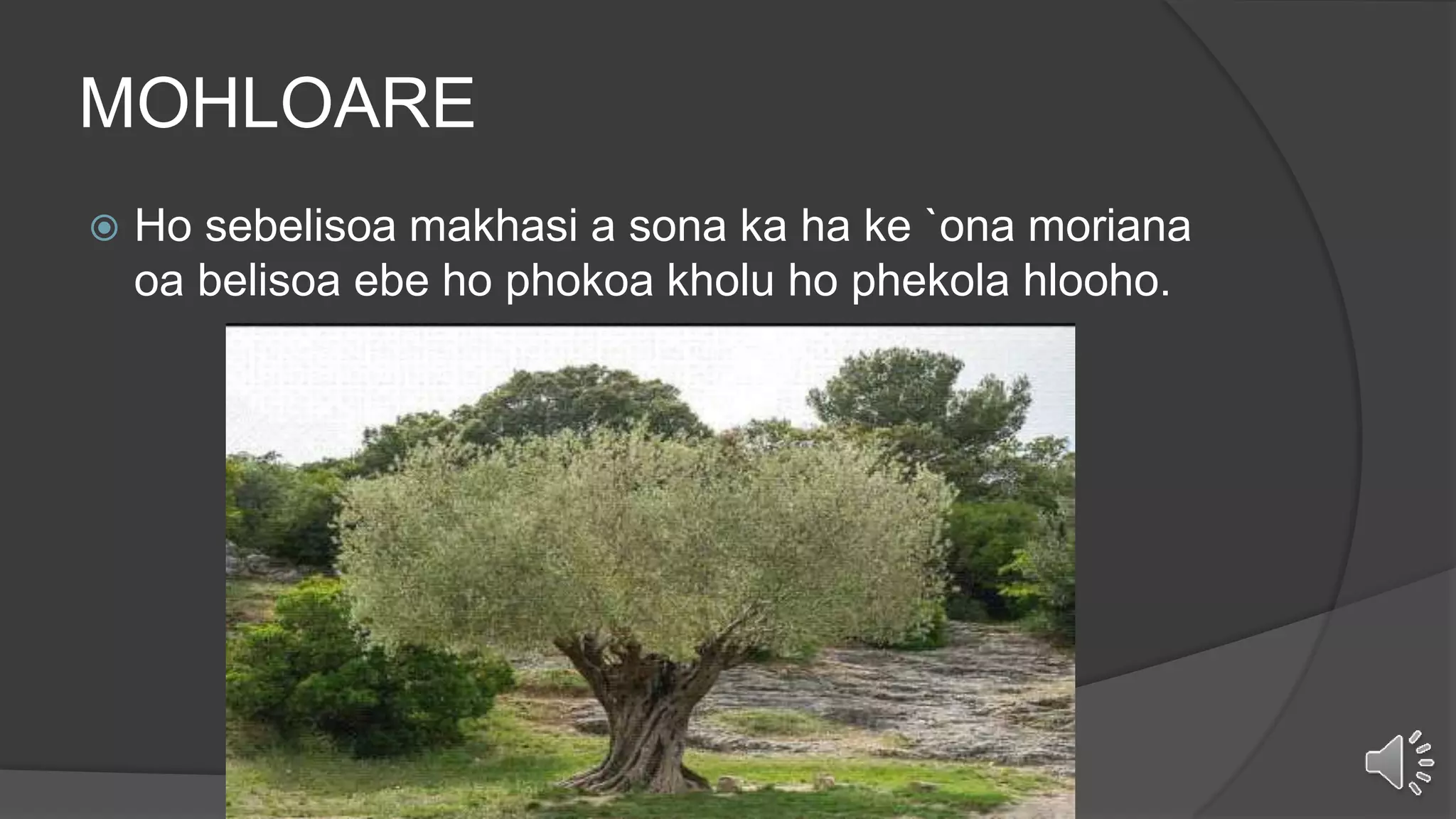 MELEMO EA LITLHARE TSA SESOTHO.pptx