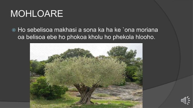 MELEMO EA LITLHARE TSA SESOTHO.pptx