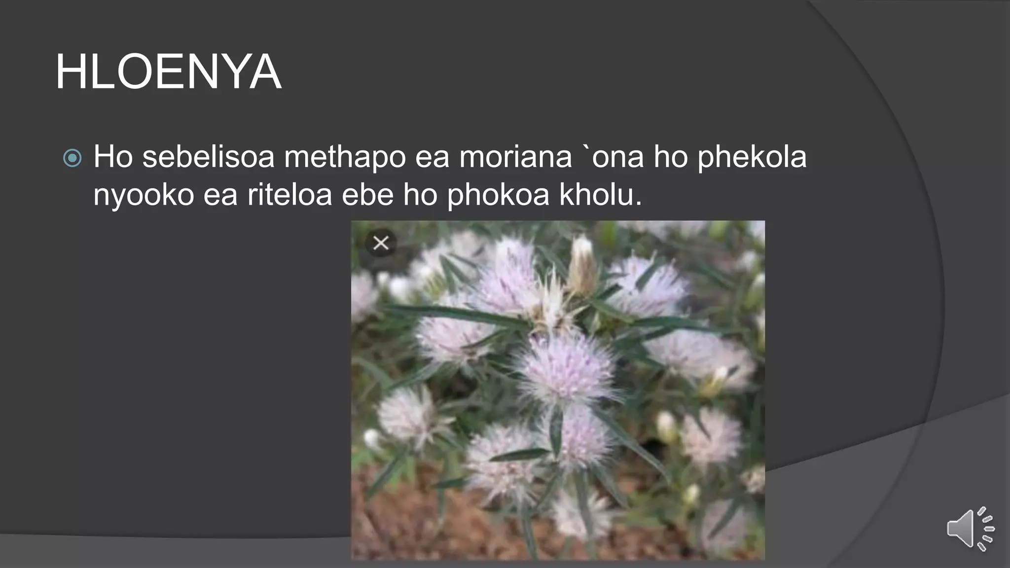 MELEMO EA LITLHARE TSA SESOTHO.pptx