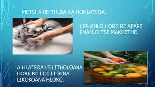 MELEMO EA METSI | PPT