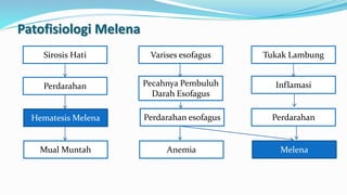 MELENA.pptx
