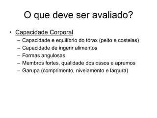 Melhoramento animal,caracteristicas exteriores do bovino de leite | PPTX