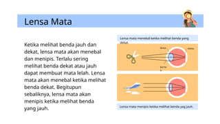 Melihat Karena Cahaya Presentasi Pendidikan IPAS Kuning Biru dan Hijau ...