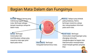Melihat Karena Cahaya Presentasi Pendidikan IPAS Kuning Biru dan Hijau ...