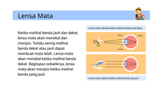 Melihat Karena Cahaya Presentasi Pendidikan IPAS Kuning Biru dan Hijau ...